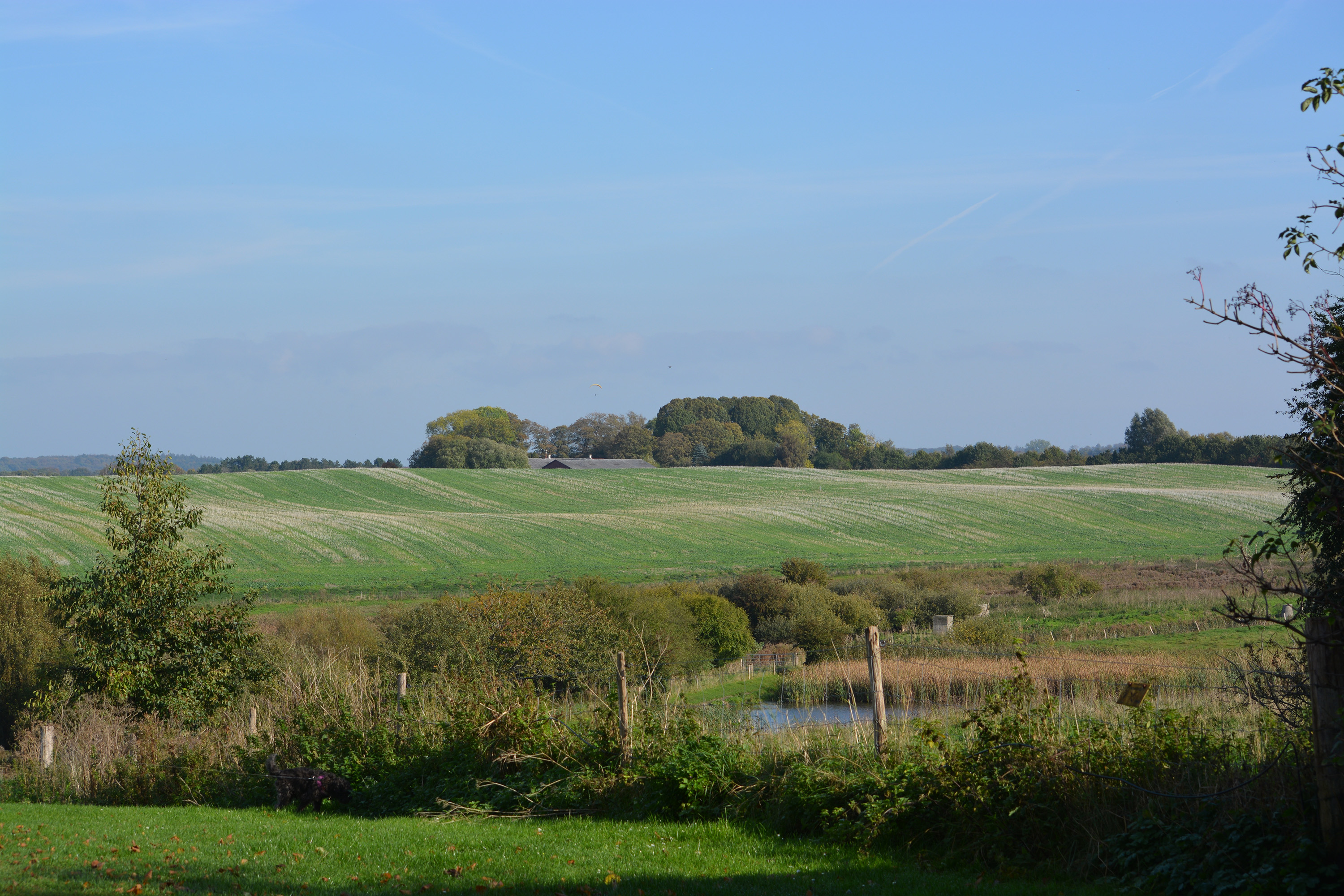 Lokale aktiviteter - Ballerup
